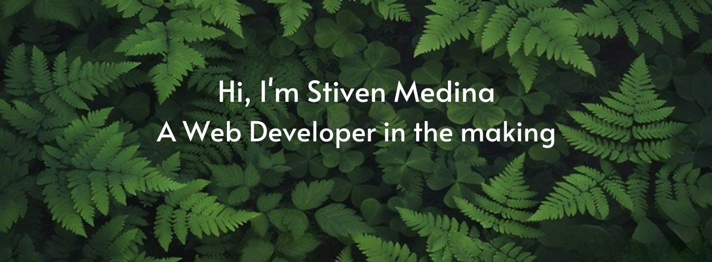 mzrtcode (Stiven Medina) · GitHub