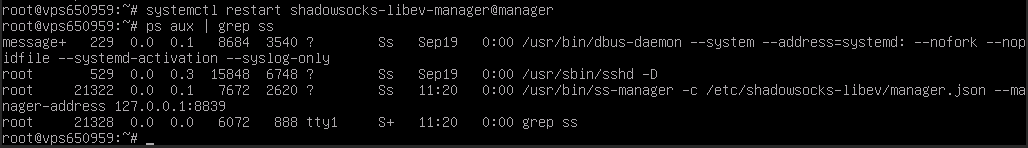 Can't get public IP adress from ShadowSocks · Issue #1237 · Ysurac/openmptcprouter · GitHub