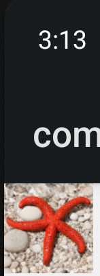 Blurry Image in compose alpha4 · Issue #5233 · bumptech/glide · GitHub