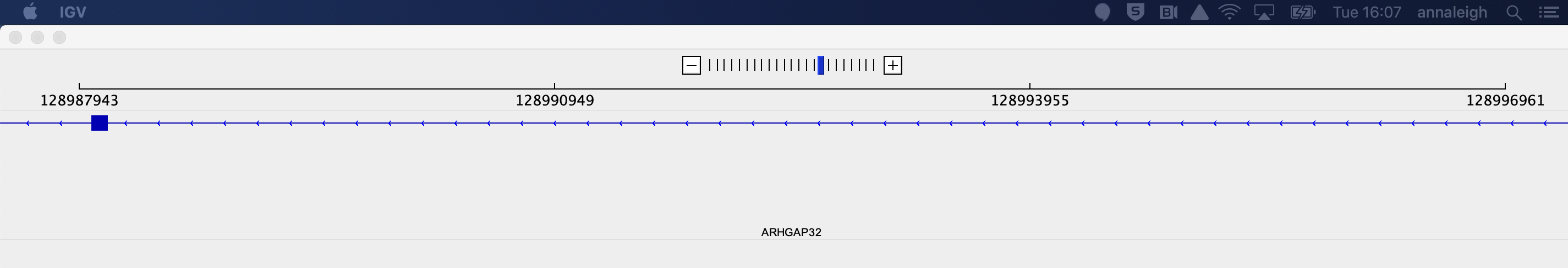 MacOs Sashimi's stopped rendering properly · Issue #892 · igvteam/igv · GitHub