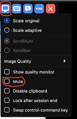 During call there is echo coming from client. · Issue #4190 · rustdesk/rustdesk · GitHub