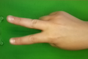 GitHub - nazrin-jafarli/Rock-Paper-Scissors-Image-Classification