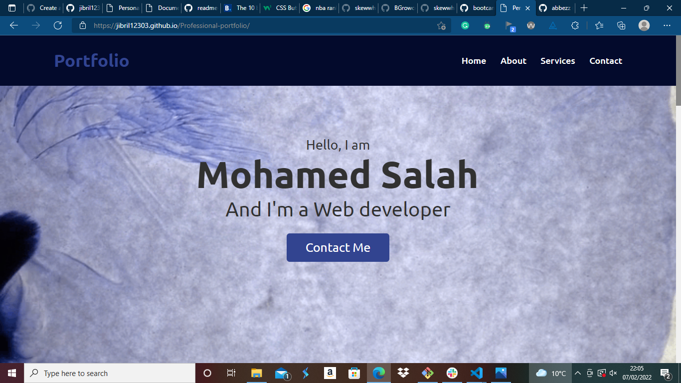 GitHub - jibril12303/Professional-portfolio