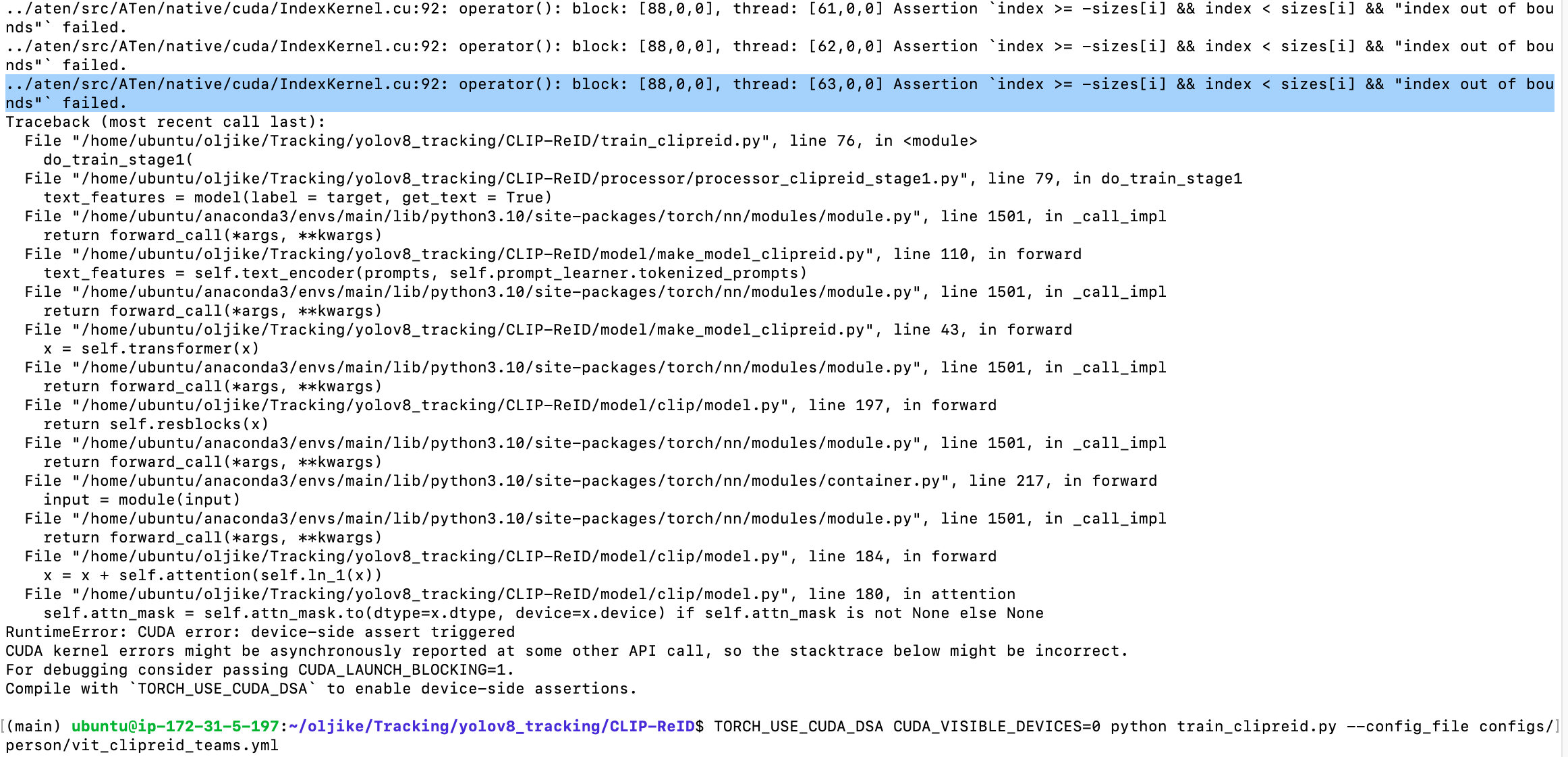 Error when training · Issue #19 · Syliz517/CLIP-ReID · GitHub