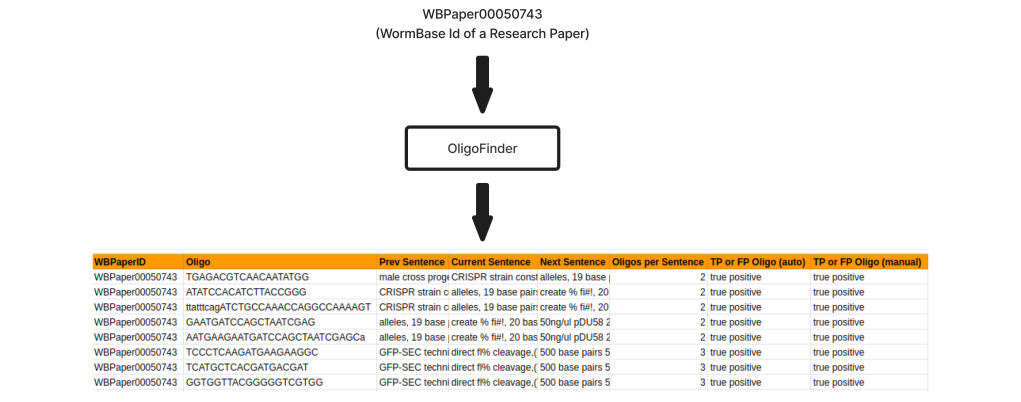 GitHub - malayjoshi13/GSoC2022_OligoFinder: OligoFinder: RegEx and Machine Learning based system ...