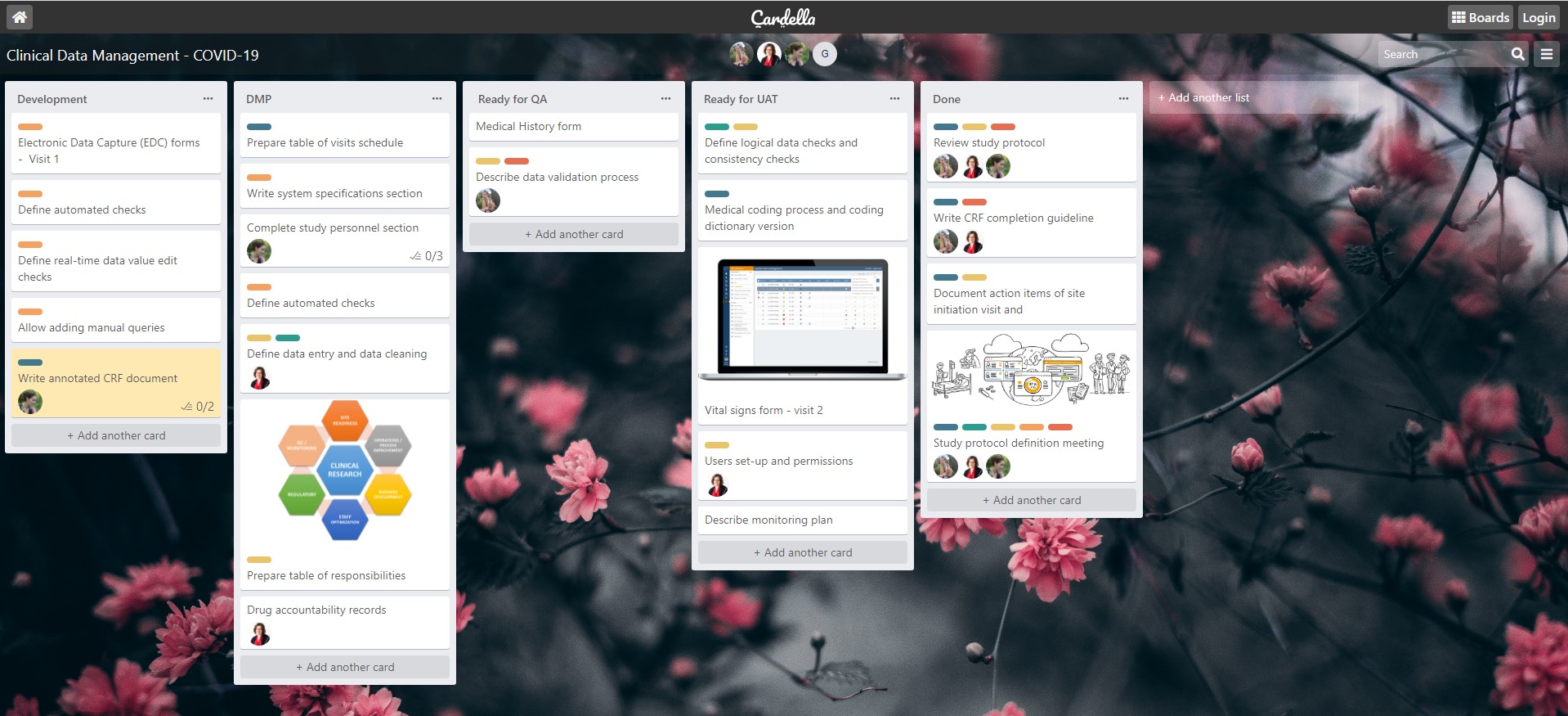 GitHub - noamaviel/Cardella