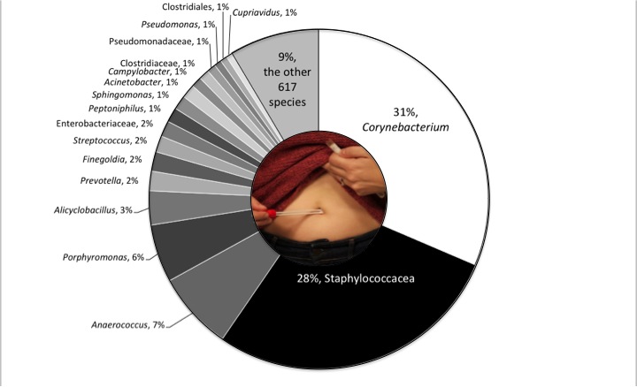 GitHub - Subhangi-G/plotlydiploy