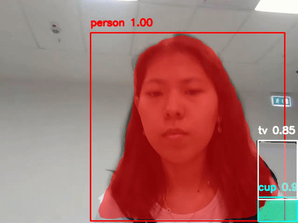 GitHub - dayanakass/Bachelor-Diploma-Project: Computer Vision Project with Mask R-CNN model on a ...