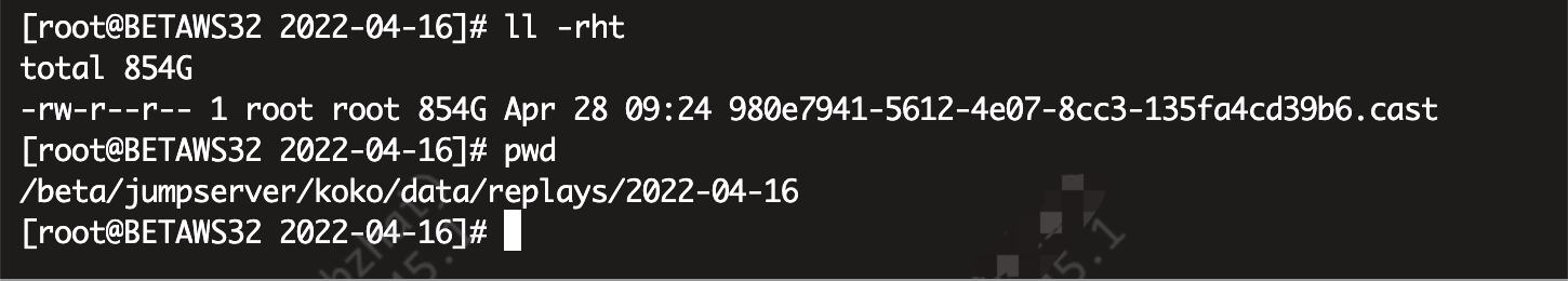 koko/data/replay/xxx.cast 持续写入将磁盘打满 · Issue #8164 · jumpserver/jumpserver · GitHub
