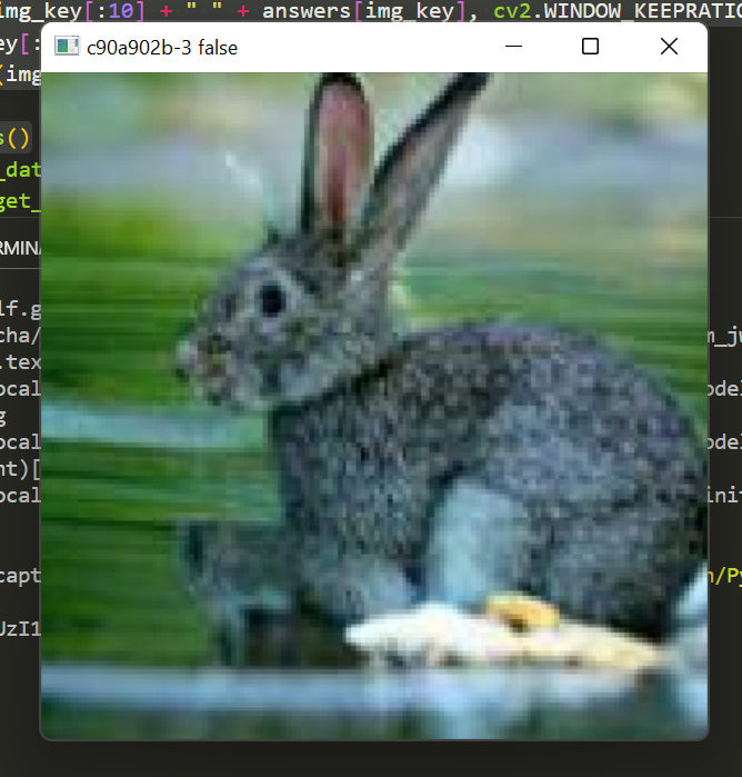 [Challenge] rabbit · Issue #203 · QIN2DIM/hcaptcha-challenger · GitHub