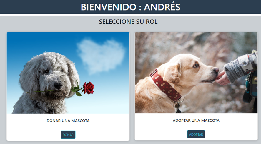 GitHub - willysmith99/proyecto-final-sena: Sistema adopción y donación de mascotas