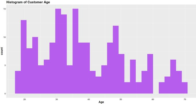 GitHub - PatrickJWalsh/Mall-Customer-Segmentation: Customer ...