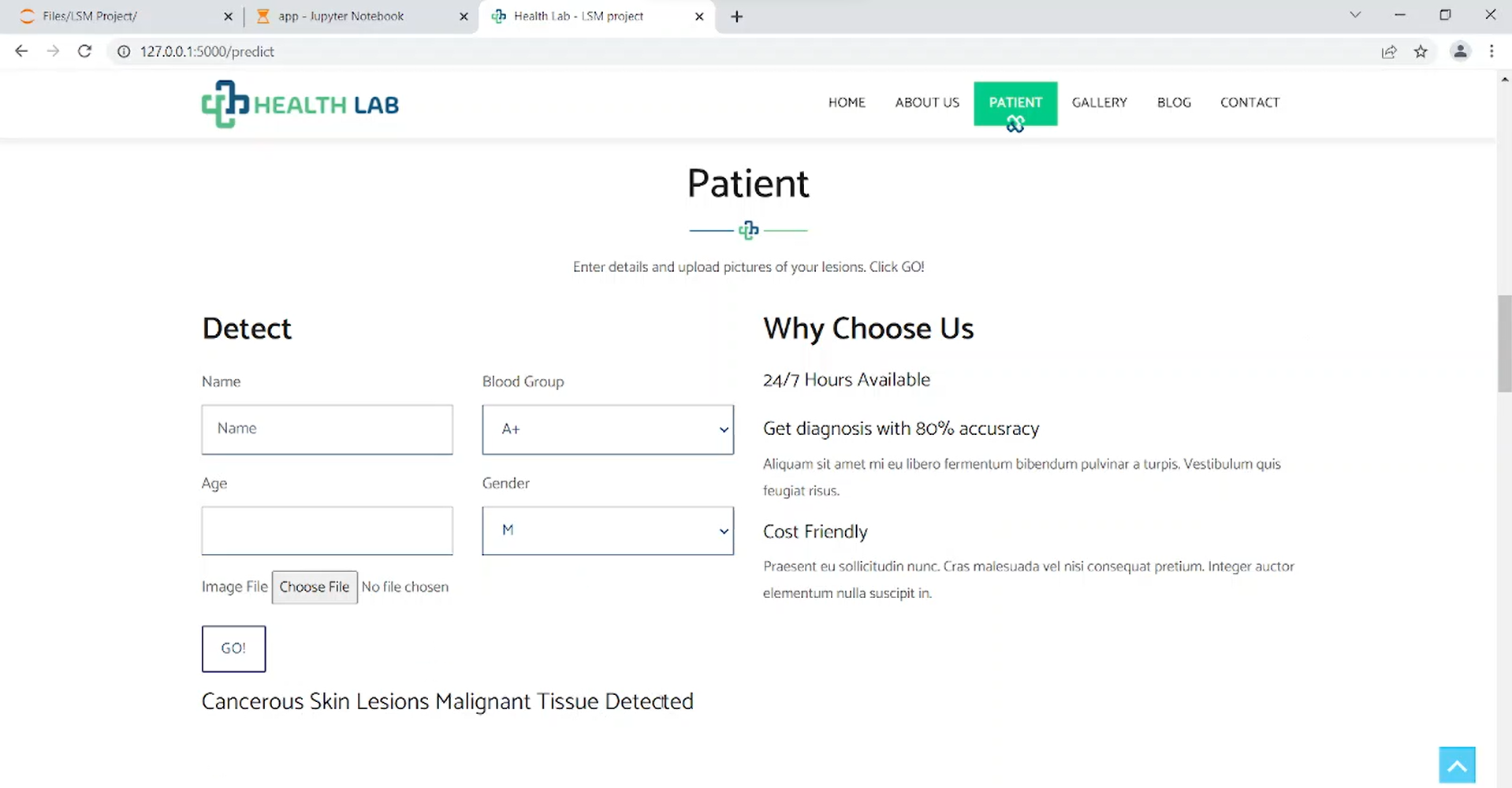GitHub - snehashankar2010/Skin-Cancer-Detection-using-User-Skin-Lesion ...