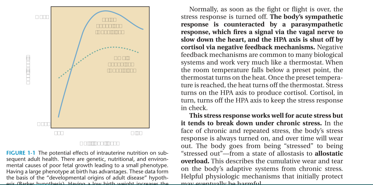 Characters in diagrams rendering as " " · Issue #2028 · sumatrapdfreader/sumatrapdf · GitHub