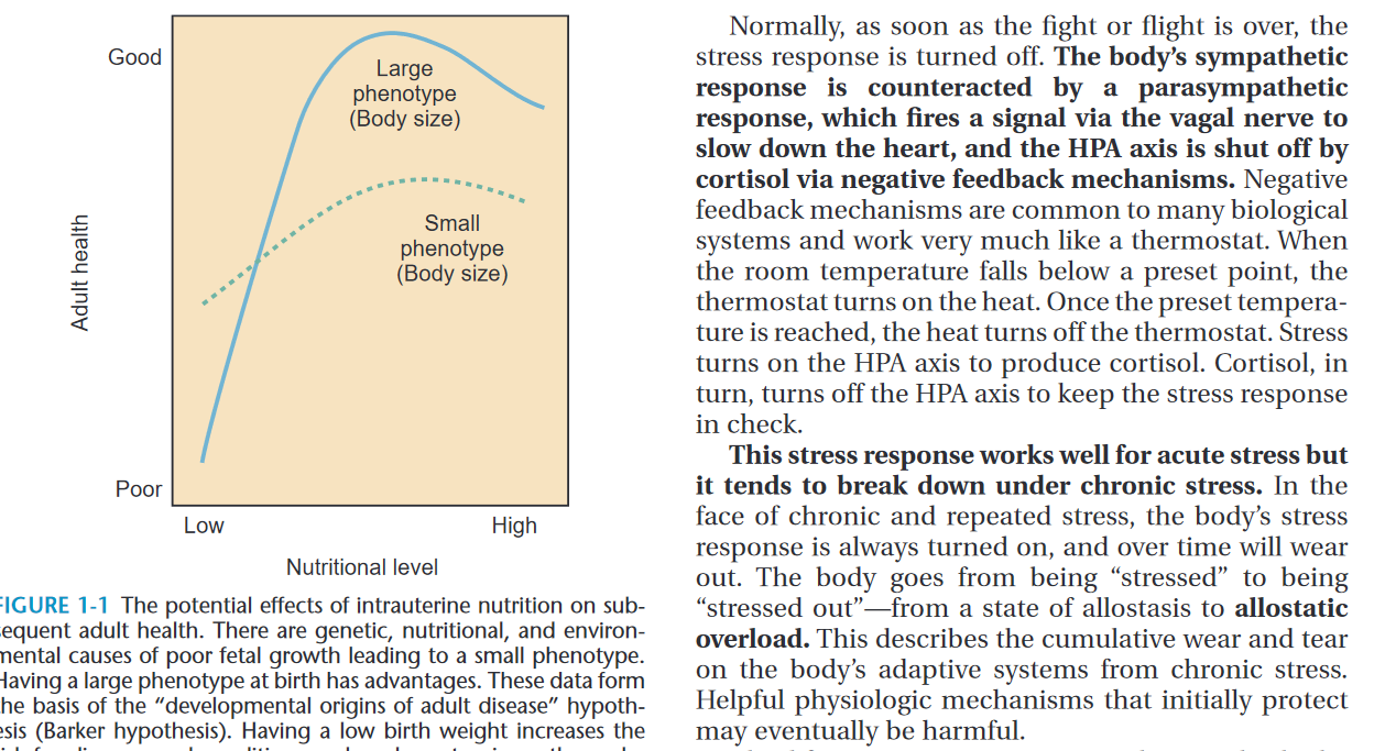 Characters in diagrams rendering as " " · Issue #2028 · sumatrapdfreader/sumatrapdf · GitHub