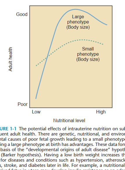 Characters in diagrams rendering as " " · Issue #2028 · sumatrapdfreader/sumatrapdf · GitHub