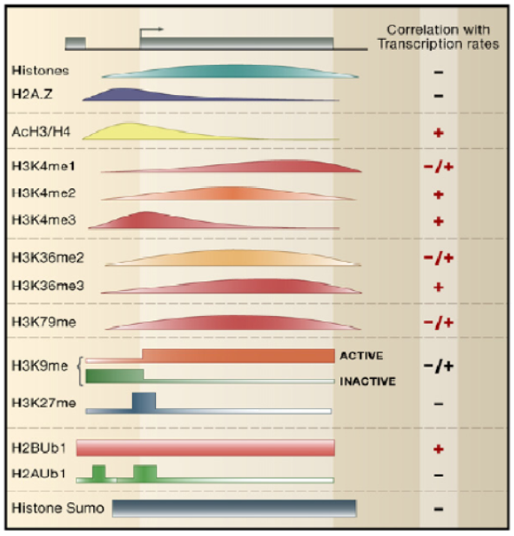 GitHub - Evgeniy-Sorokin/hse_hw2_chip