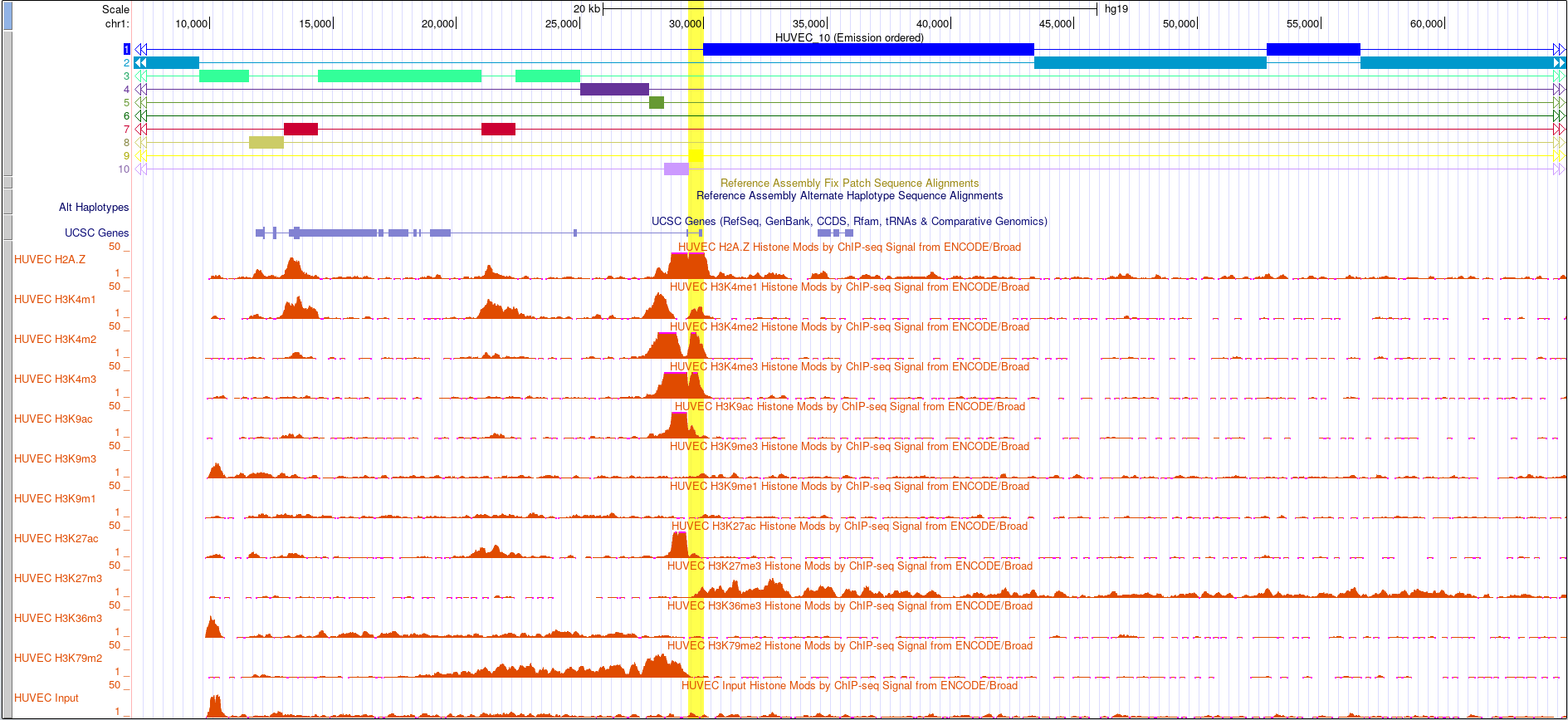GitHub - Evgeniy-Sorokin/hse_hw3_chromhmm