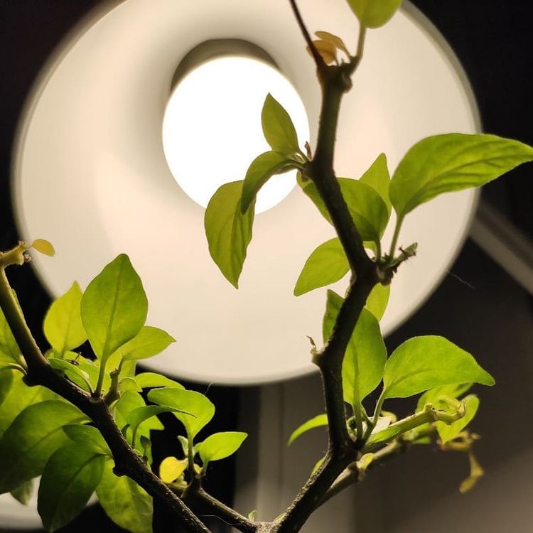 GitHub - stepanomelyanenko/filters_urfu: Python homework