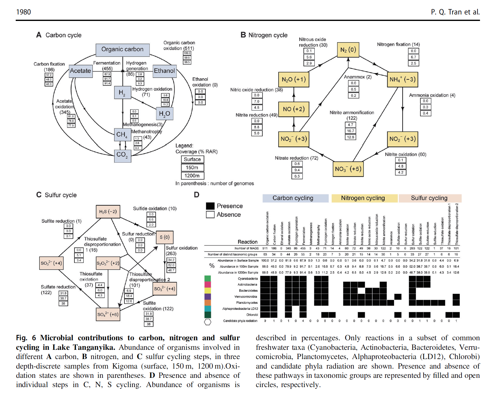 The number of columns in the MW-score_result/MW-score_result.txt is abnormal · Issue #116 ...