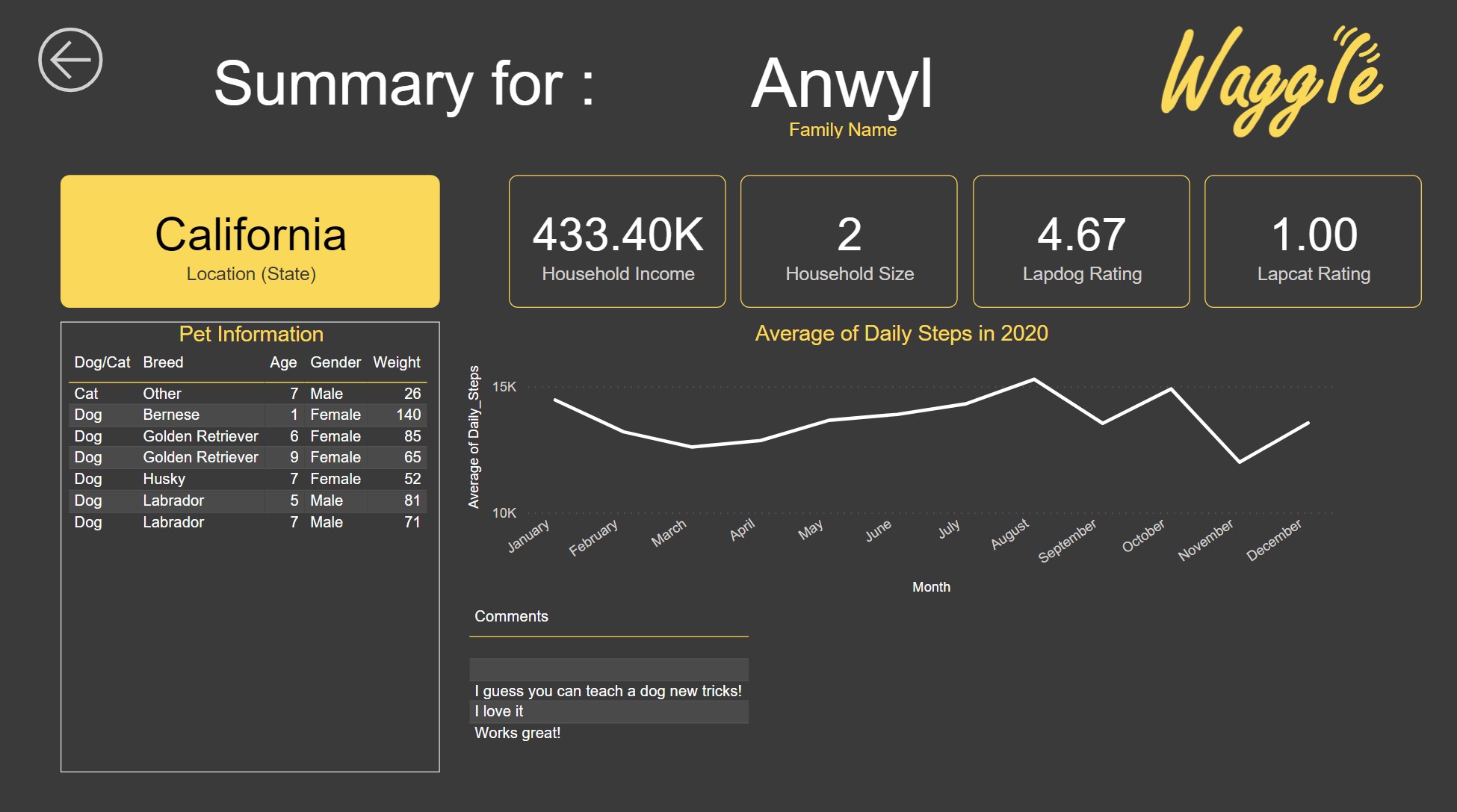 GitHub - sendysenzen/Waggle-Power-BI-Report: A power BI project as part of Udacity Nanodegree ...