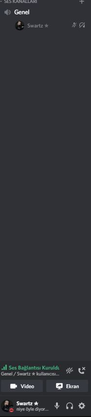 Hoparlör Bugu · Issue #2107 · discord/discord-api-docs · GitHub