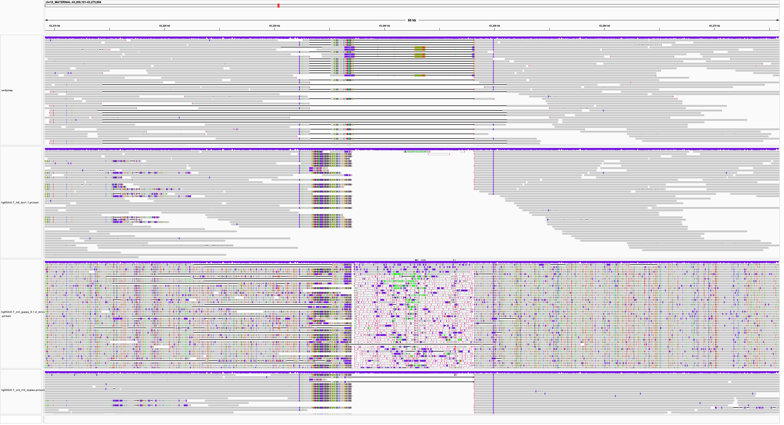 Issue: chr10_MATERNAL:43236353-43248640 · Issue #154 · marbl/HG002-issues · GitHub