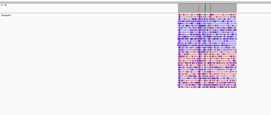 Variant Calling With Nanopore Data On Multiple Loci · Issue 760 · Freebayesfreebayes · Github