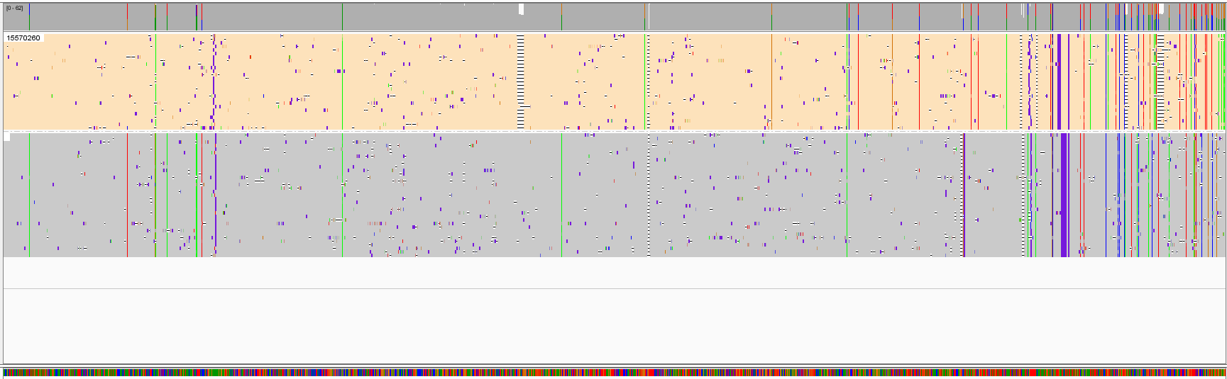 Whatshap polyphase on INDELs not working? · Issue #427 · whatshap ...
