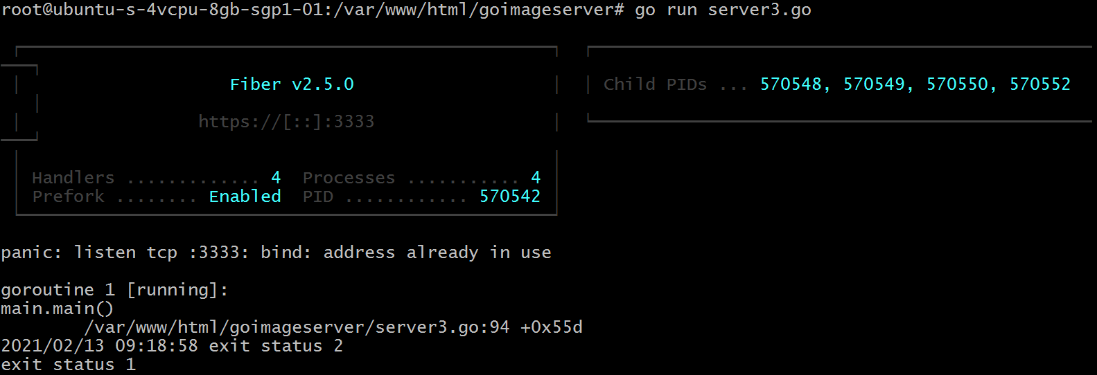 Prefork causing address binding problem · Issue #1161 · gofiber/fiber · GitHub