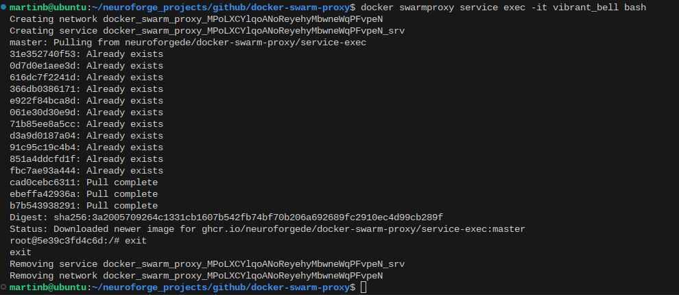GitHub - neuroforgede/docker-swarm-proxy: What if you wanted a docker exec, but for Docker swarm ...