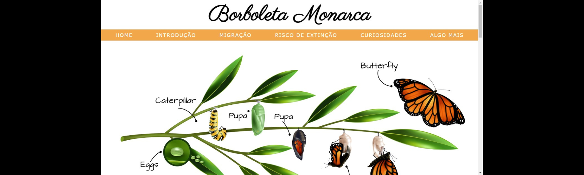 GitHub - DeiseFAS/atividade-responsive-web-development: Página Borboleta Monarca, Atividade ...