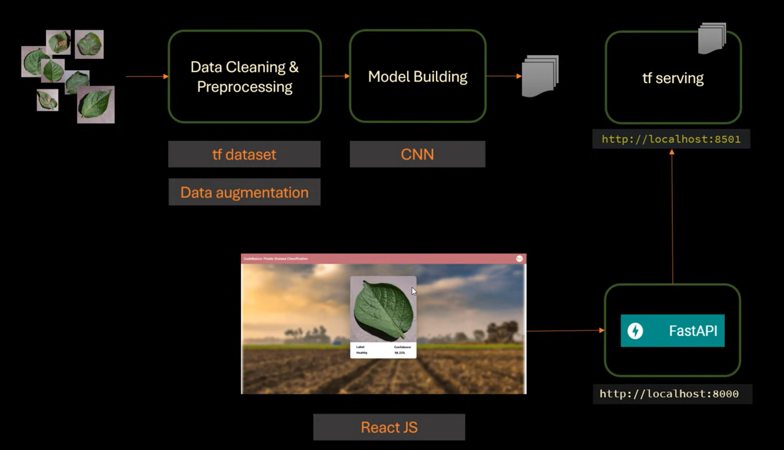 GitHub - ZeynepRuveyda/EndtoEndDeepLearningProject_PotatoDisease: Model Building: tensorflow ...