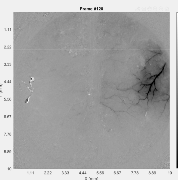 size of activation · LabeoTech Umit · Discussion #58 · GitHub