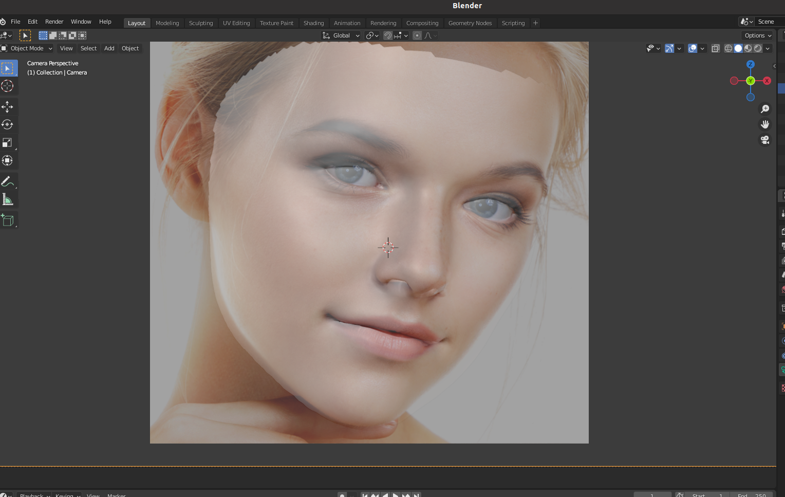 Where should I put the center of image in camera view to align to the mesh ? · Issue #23 · sicxu ...