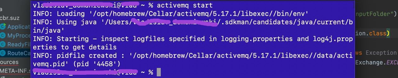 GitHub - Vlad-Buko/camel-simple-app