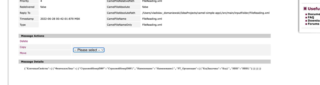 GitHub - Vlad-Buko/camel-simple-app