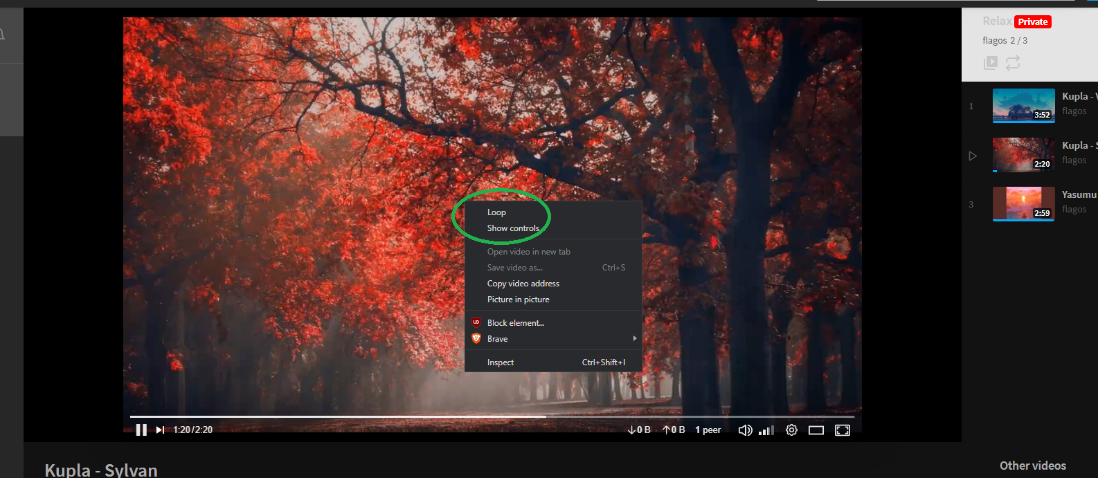Video Player - Loop feature · Issue #3802 · Chocobozzz/PeerTube · GitHub