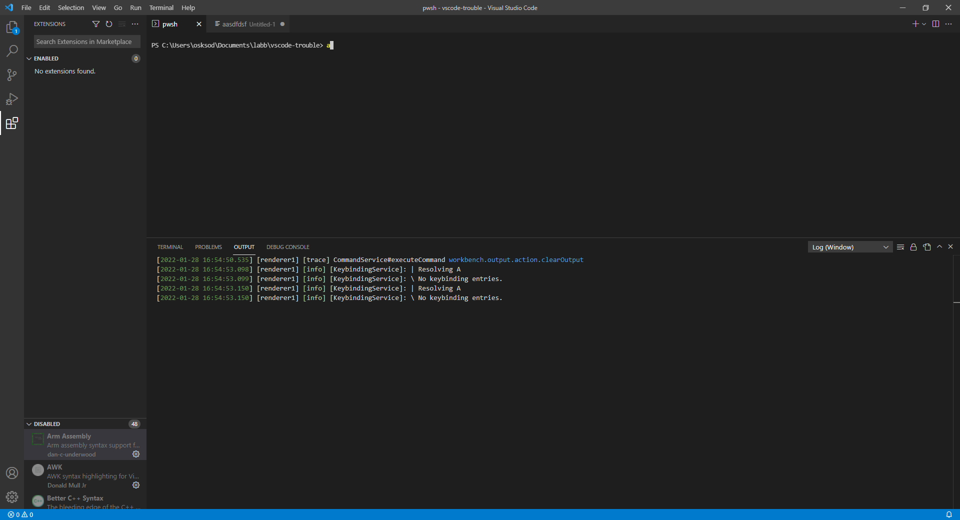 AltGr keypress makes me press Home twice in Terminal for effect ...