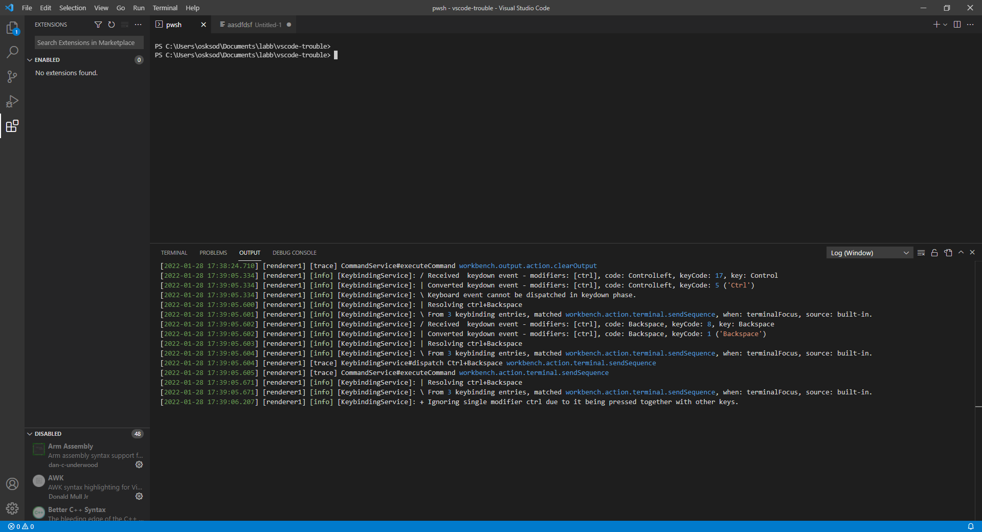 AltGr keypress makes me press Home twice in Terminal for effect ...