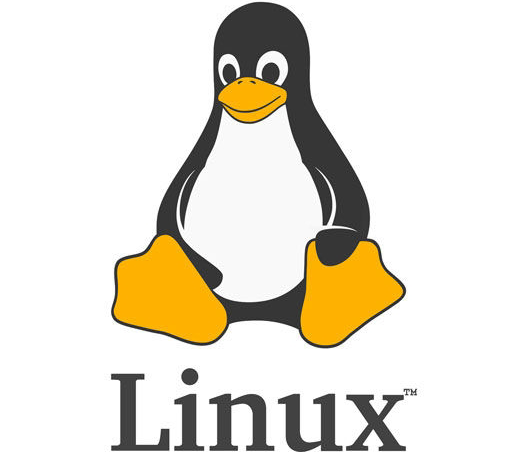 GitHub - filonico/UNIX_and_bash_basics: This repository contains bash scripting basics for ...