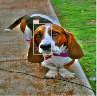 GitHub - YicongX/Weakly-Supervised-Object-Localization