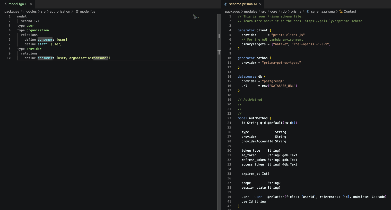 Conflicts with the Prisma Extension · Issue #55 · openfga/vscode-ext ...