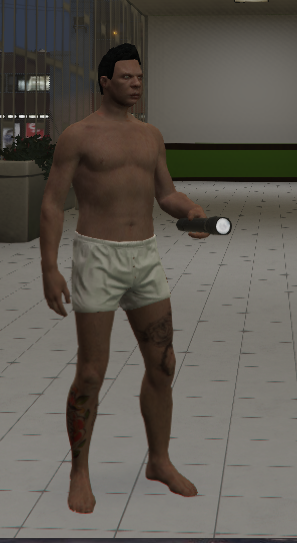 [Animation] Police Animation>Torch not visible to others · Issue #45 · SOZ-Faut-etre-Sub/SOZ ...