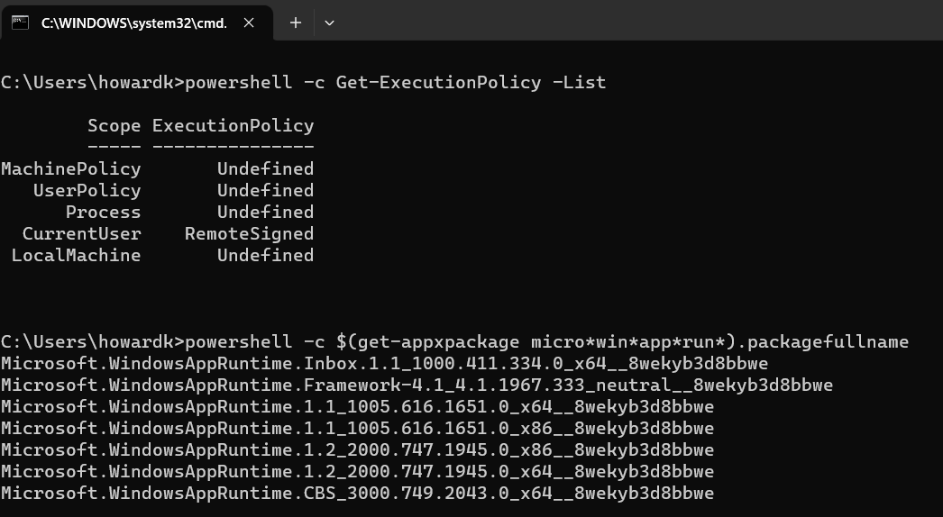 WinAppSDK application doesn't launch for some users · Issue #3339 · microsoft/WindowsAppSDK · GitHub