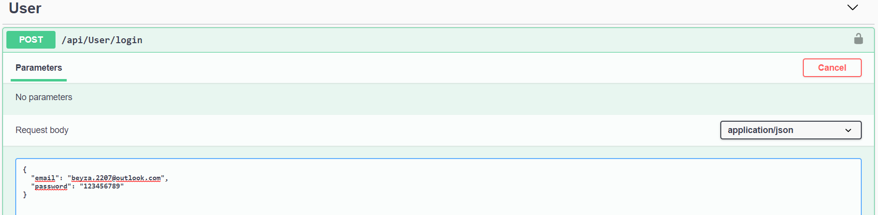 GitHub - beyzaylm0/Bootcamp-Paycore