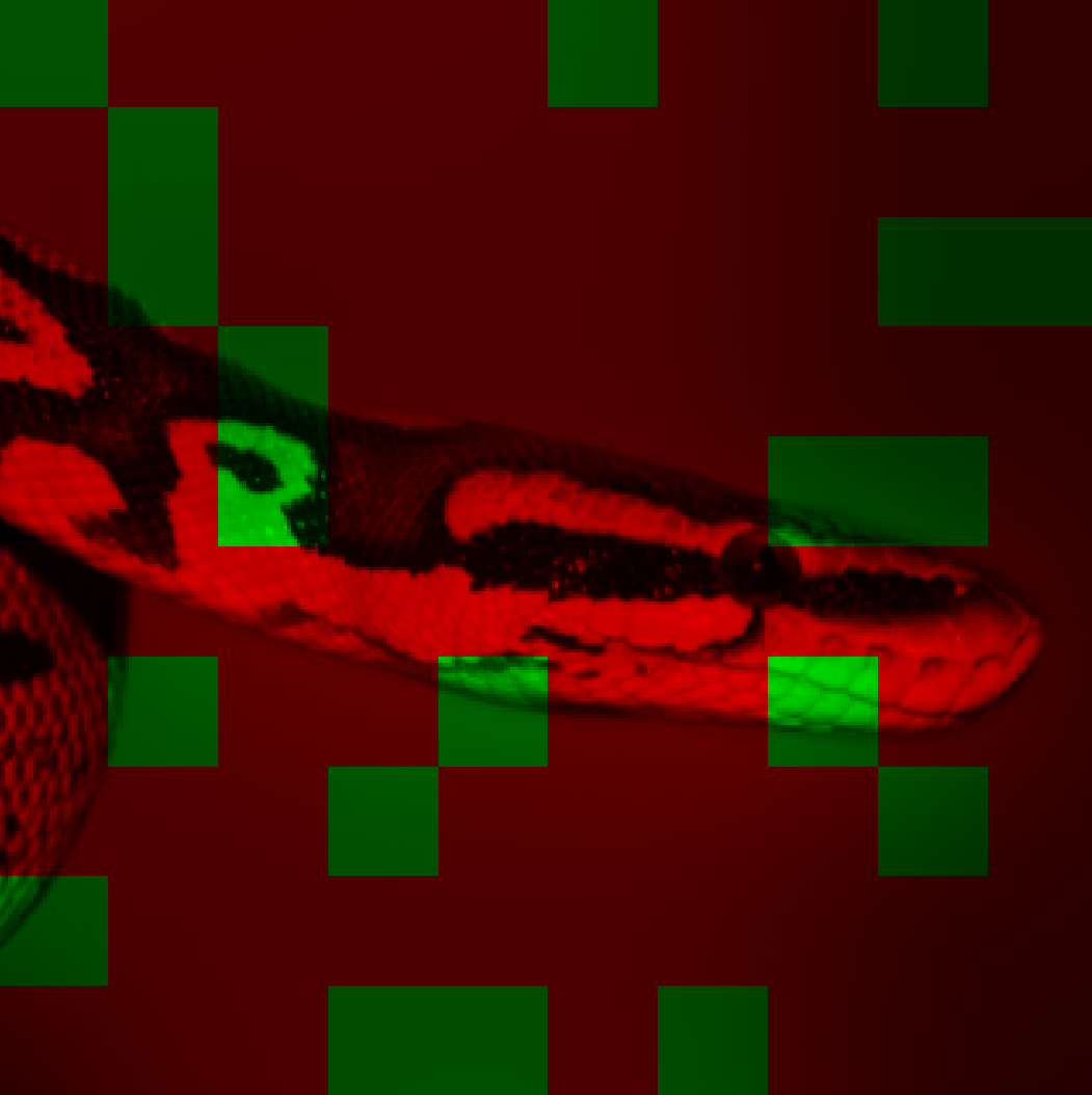 GitHub - sauphiemc/dichoptic-viewing-expt: Dichoptic Visual Stimulation Experiment