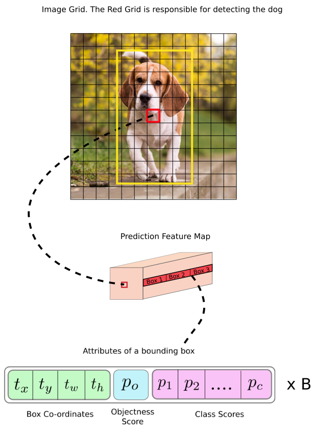GitHub - imvlaboratory/Materi-Object-Detection: Transfer Learning Week 5
