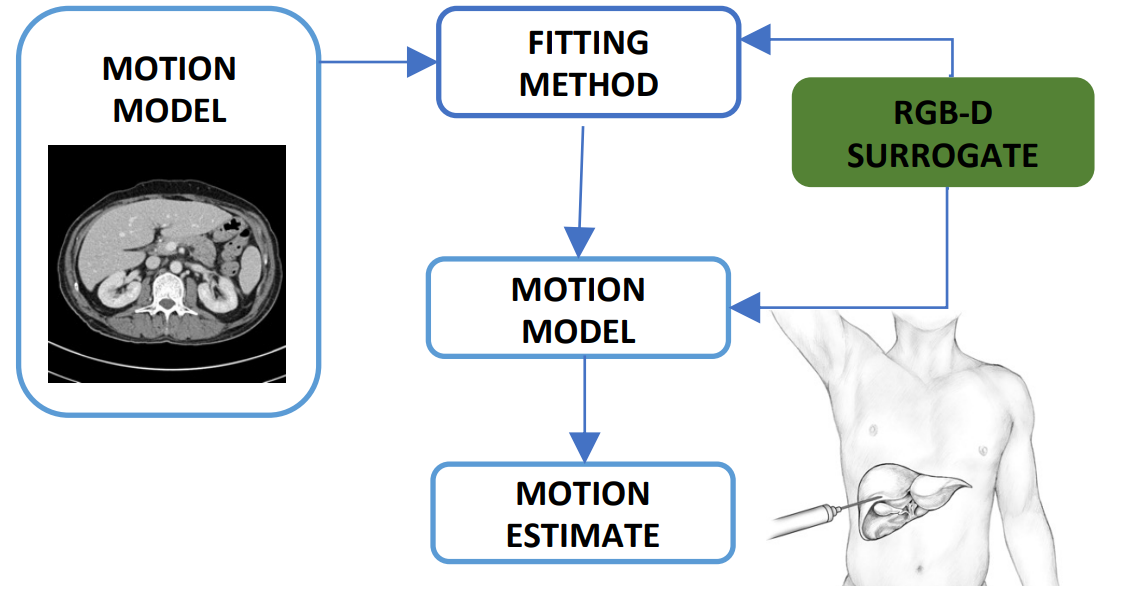 GitHub - acorav/Respiratory-Motion-Estimation