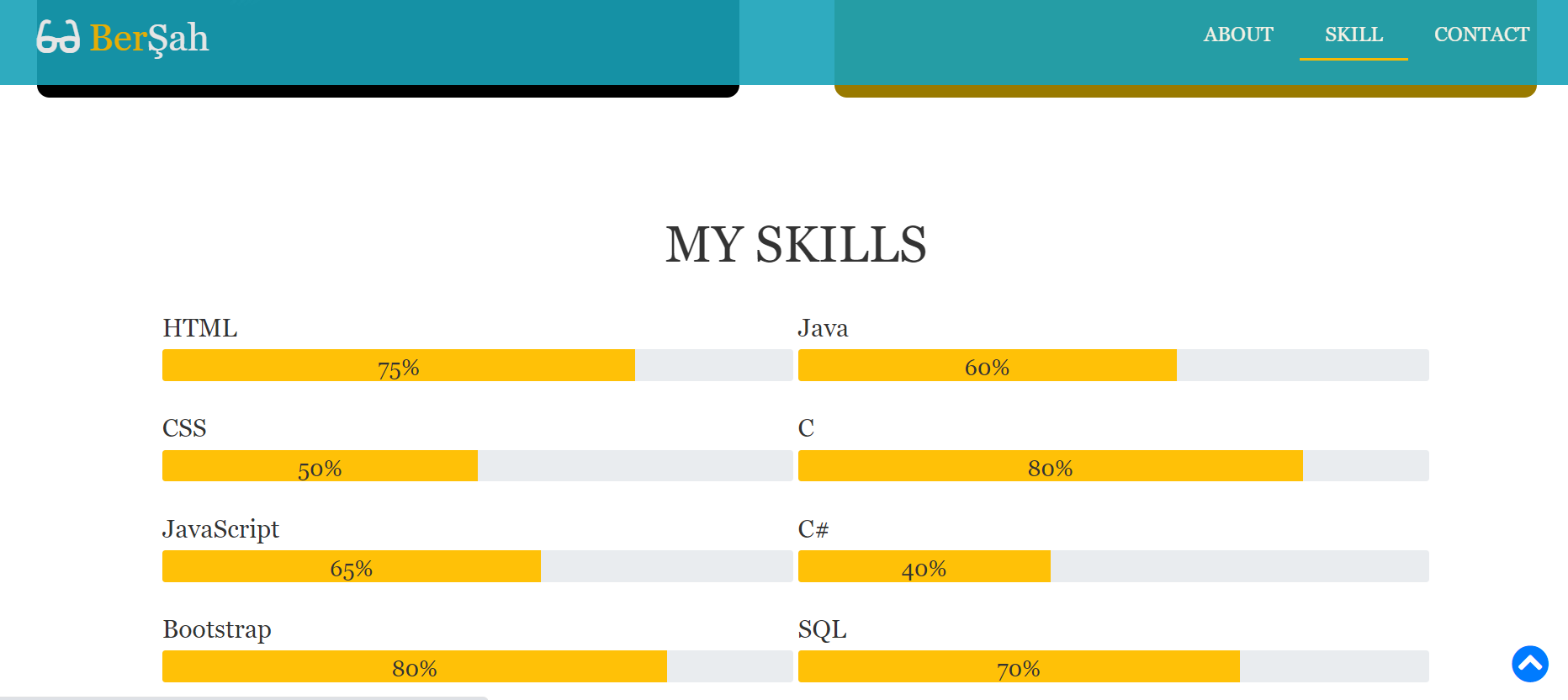 GitHub - berfinsahin/berfin-sahin-cv